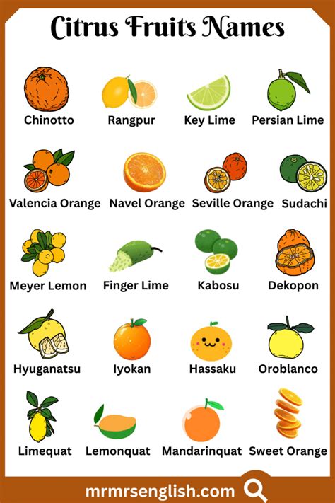 Citrus Fruits Names In English With Their Pictures Mr Mrs English