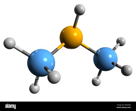 3d Image Of Dimethylamine Skeletal Formula Molecular Chemical Structure Of Secondary Amine N