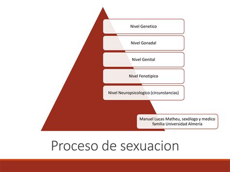 SOLUTION Procesos De Sexuacion Respuesta Sexual Humana Studypool