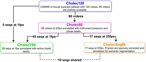 [论文审查] Cholecinstanceseg A Tool Instance Segmentation Dataset For Laparoscopic Surgery