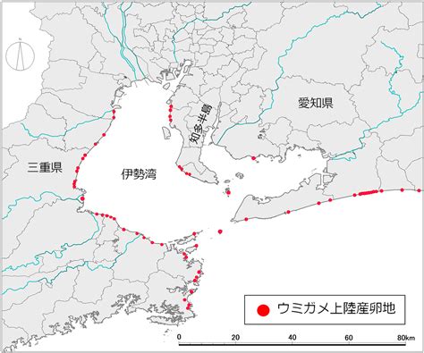 伊勢湾の環境生物伊勢湾環境データベース