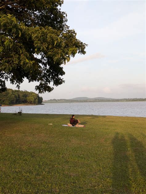 Shalini Sahay On Linkedin Selfreflection Mindfulness Nature Personalgrowth Mentalhealth