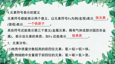 2023年中考化学复习 第2讲 元素和元素周期表课件 共35张ppt 21世纪教育网 二一教育