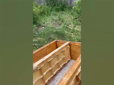Мед в сотах в деревянных минирамках - YouTube