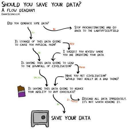 Should You Save Your Data A Flow Diagram ErrantScience