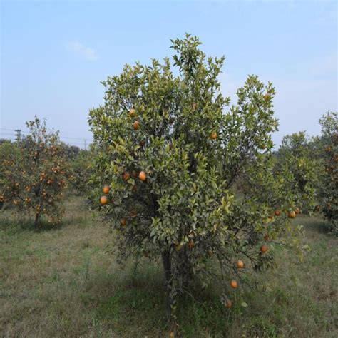 Detection1 Object Detection Dataset And Pre Trained Model By Imane