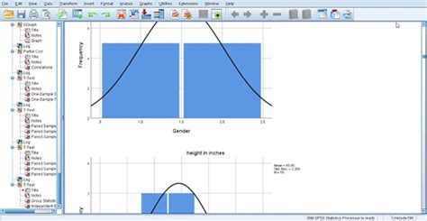 Do Advanced Statistical Analysis By Using Spss And Python By