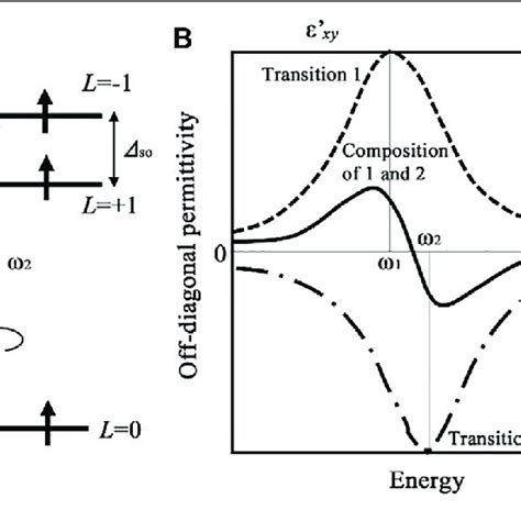 Pdf Fundamentals Of Magneto Optical Spectroscopy