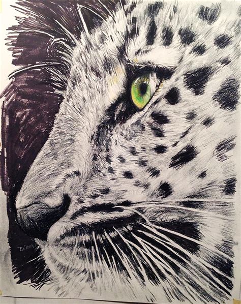 Leopard Eye By Celine52 On Deviantart