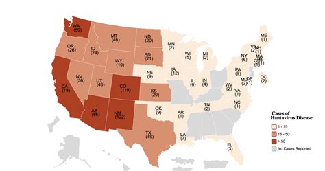 What To Know About Hantavirus Pulmonary Syndrome Foaming News Magazine