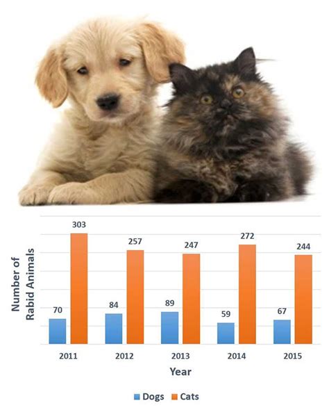 The Burden Of Rabies Features Cdc