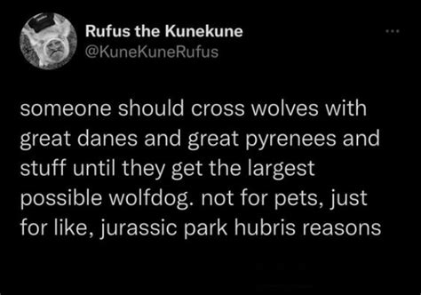 Clever Girl R Oddlyspecific