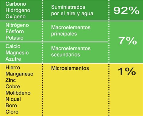 Nutrición De Las Plantas