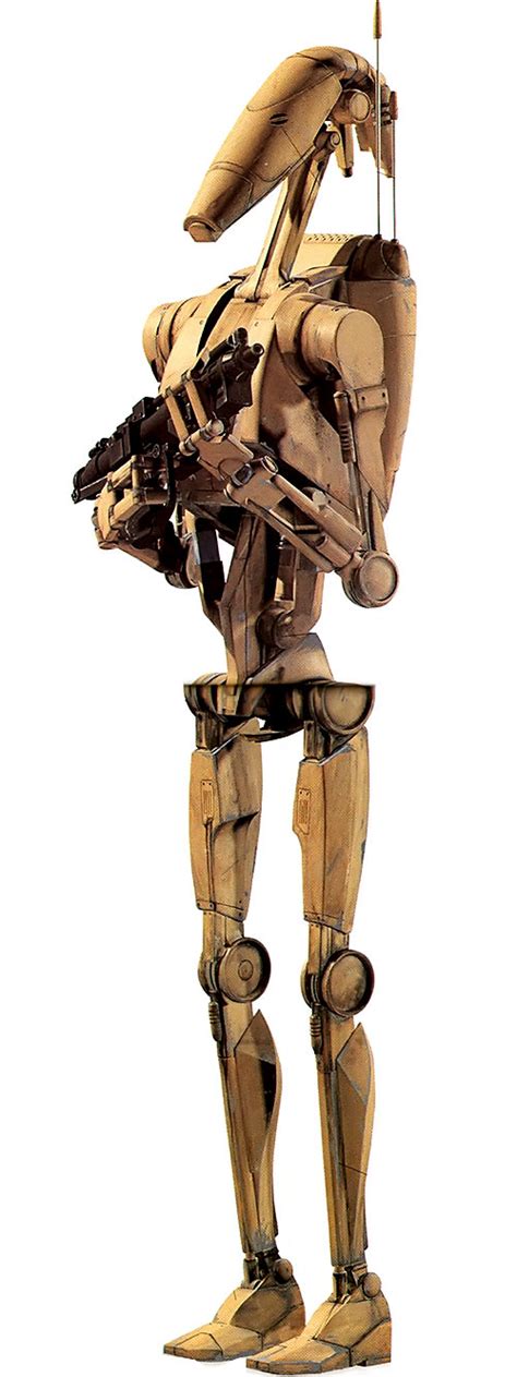 Roger Roger R Pics