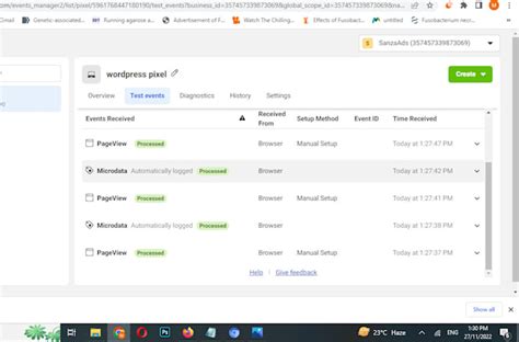 Setup Wordpress Pixel Conversion Api And Catalogue By Hamza Jalil
