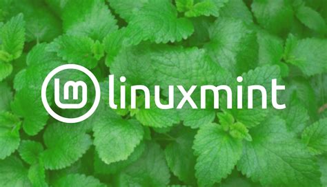 Linux Mint 213 To Feature Experimental Wayland Support Omg Ubuntu