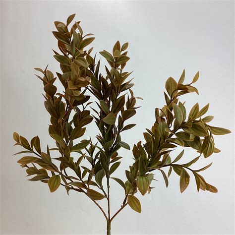 Plastic Small Ruscus Leaf Spray Orangeyellow Village Green