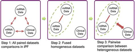 Graphical Illustration Of Heterogeneous Data Sets Comparison Scheme In
