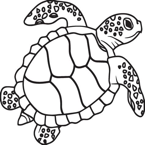 Sea Turtle Coloring Pages Sea Turtle Outline For Coloring Book