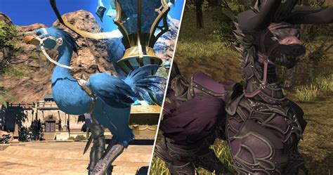 How To Get Every Type Of Chocobo Barding In Ffxiv
