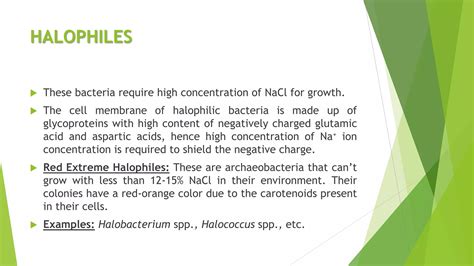 Types Of Bacteria Pdf