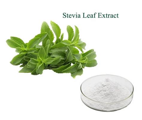 Stevia Stevioside Extract 95 Powder At ₹ 4300kg In Pune Id