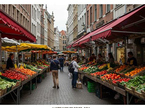 Antwerp Itineraries And Planning 1 Day To 1 Week Travel Plans