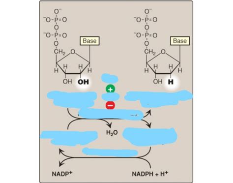 Conversion Of Ntp To Dntp Quiz