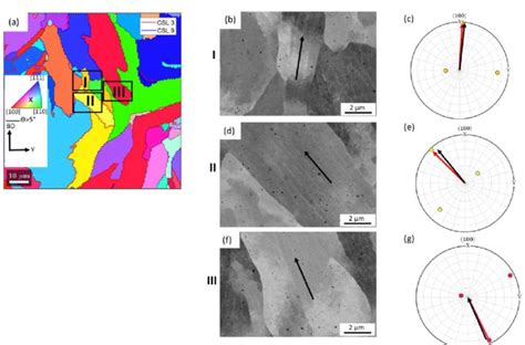 Figure S2 Growth Direction Of Dendrites Of Steel 2 A Ipf Ebsd Map