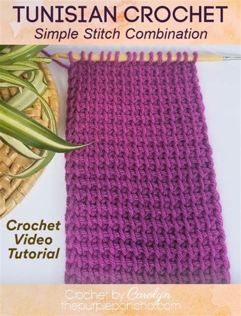 How To Crochet Tunisian Simple Stitch Combination The Purple Poncho