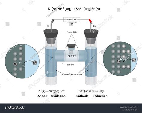 Detailed Labeled Diagram Electrochemical Cell Galvanic Voltaic Stock Illustration 2598876579