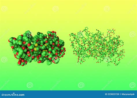 Human Chorionic Gonadotropin Hcg Glycoprotein Hormone Chemical