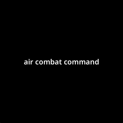 「エアー・コンバット・コマンドair Combat Command」とは？ カタカナ語の意味・発音・類語辞典