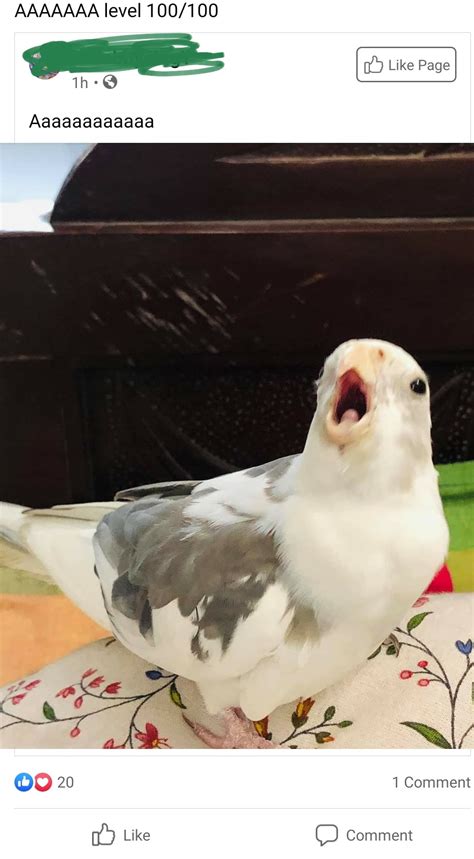 Aaaaaaaaaaaaaaaaaaaa Raaaaaaaaaaaaaaaaa