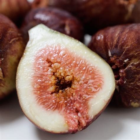 무농약 친환경 무화과