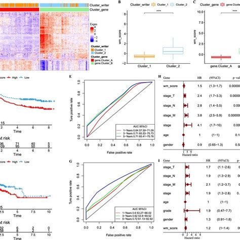 A Histopathology Of Conventional Ewing Sarcoma Hematoxylin And Download Scientific Diagram
