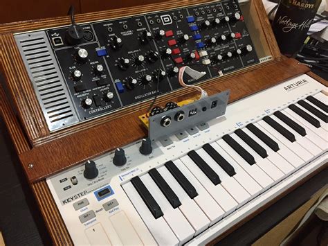 Matrixsynth Custom Behringer Model D Case By Torsten