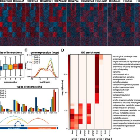 Chromatin Domains Revealed By Clustering Interactions A Interactions