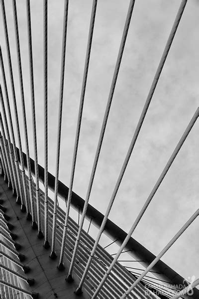 Connecting Bars Behance