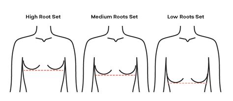 Bra Sizing How Breast Root Affect Your Bra Fit Comfelie