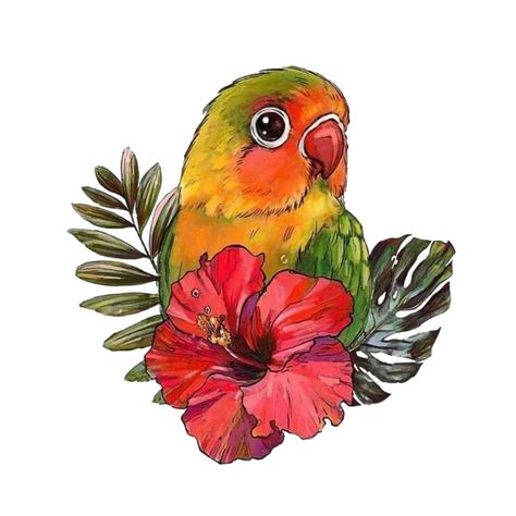 Милые рисунки попугаев для срисовки 62 фото