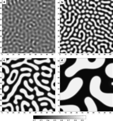 Isotropic Diffusion Different Stages Of Isotropic Mineral Growth