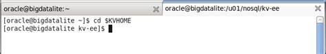 Running Hive Queries On Oracle Nosql Database