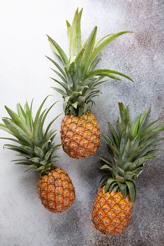 콘크리트 배경에 세 개의 신선한 잘 익은 파인애플 음식 배경입니다 상단 보기 복사 공간 0명에 대한 스톡 사진 및 기타 이미지
