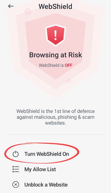 Using WebShield