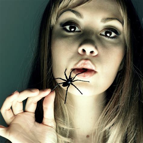 Sonhar Com Aranha Quer Dizer O Quê