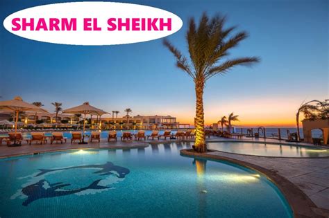 ️ შარმ ელ შეიხი 0 Gel Bbm Flamingo