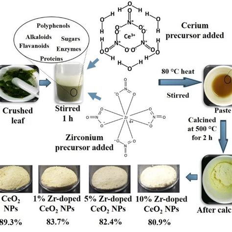 Schematic Representation Of Aqueous Leaf Extract Mediated Synthesis Of Download Scientific