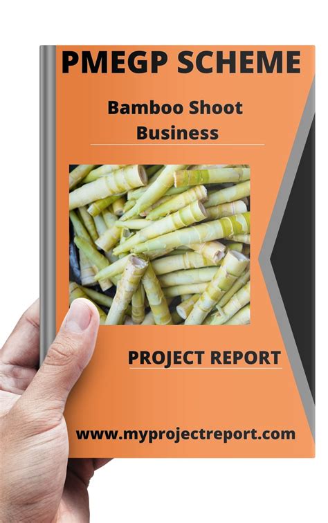 Best PMEGP Project Report For Bank Loan PMEGP My Project Report
