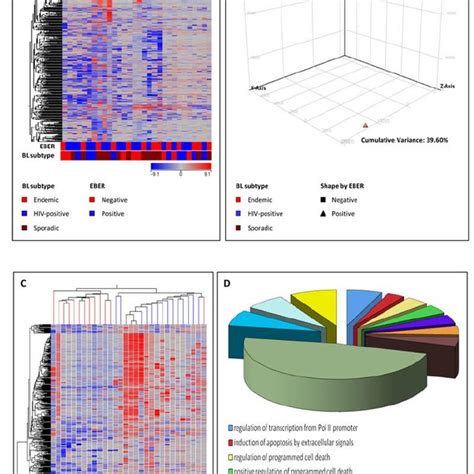 Unsupervised Analyses Unsupervised Hierarchical Clustering A